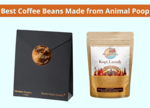 3 Best Coffee Beans Made from Animal Poop - Grind Those Beans