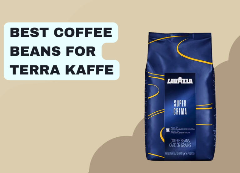 Best Coffee Beans For Terra Kaffe: 5 Ideal Options - Grind Those Beans